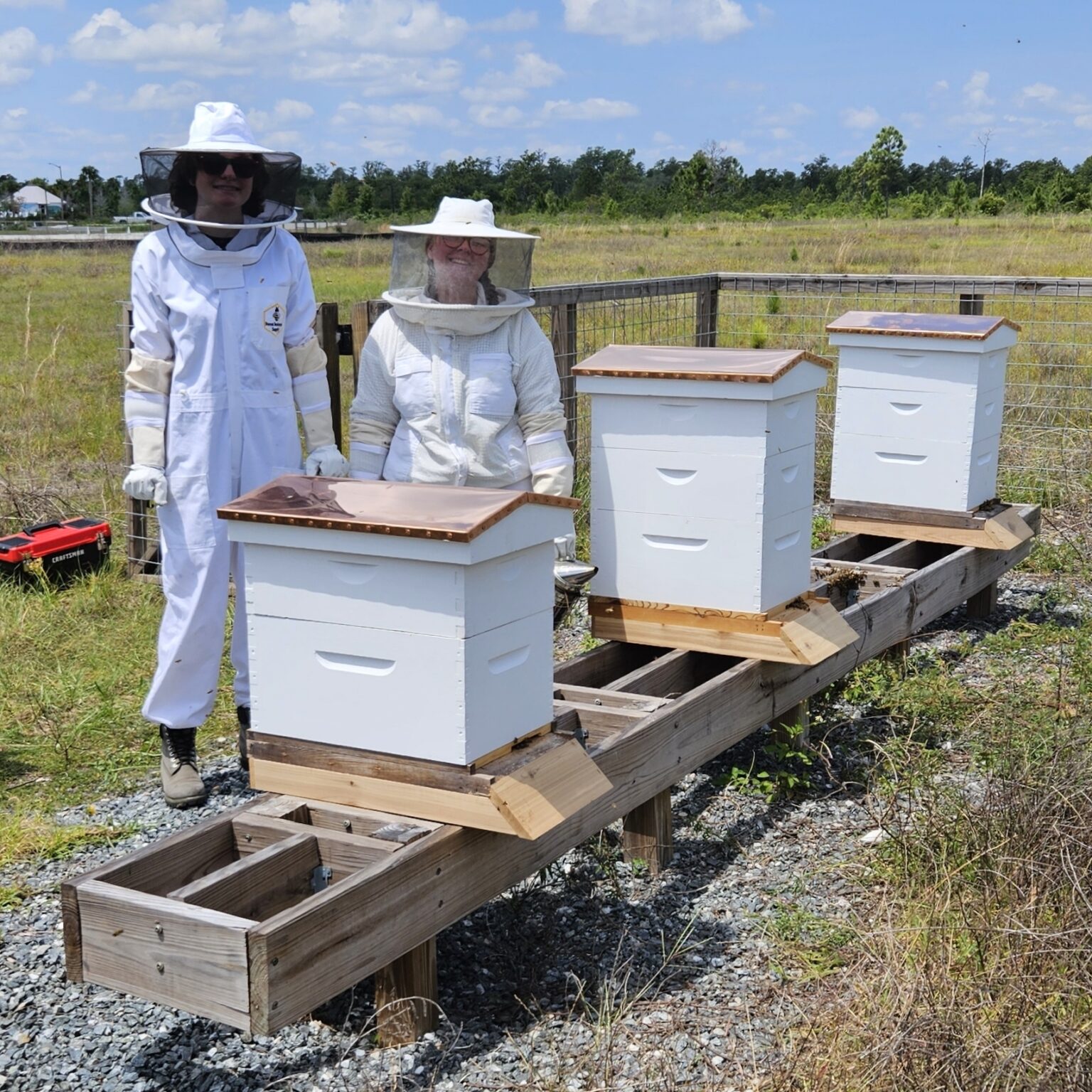 Buzzing with Life: Welcoming Honey Bees to Basecamp - Sunbridge