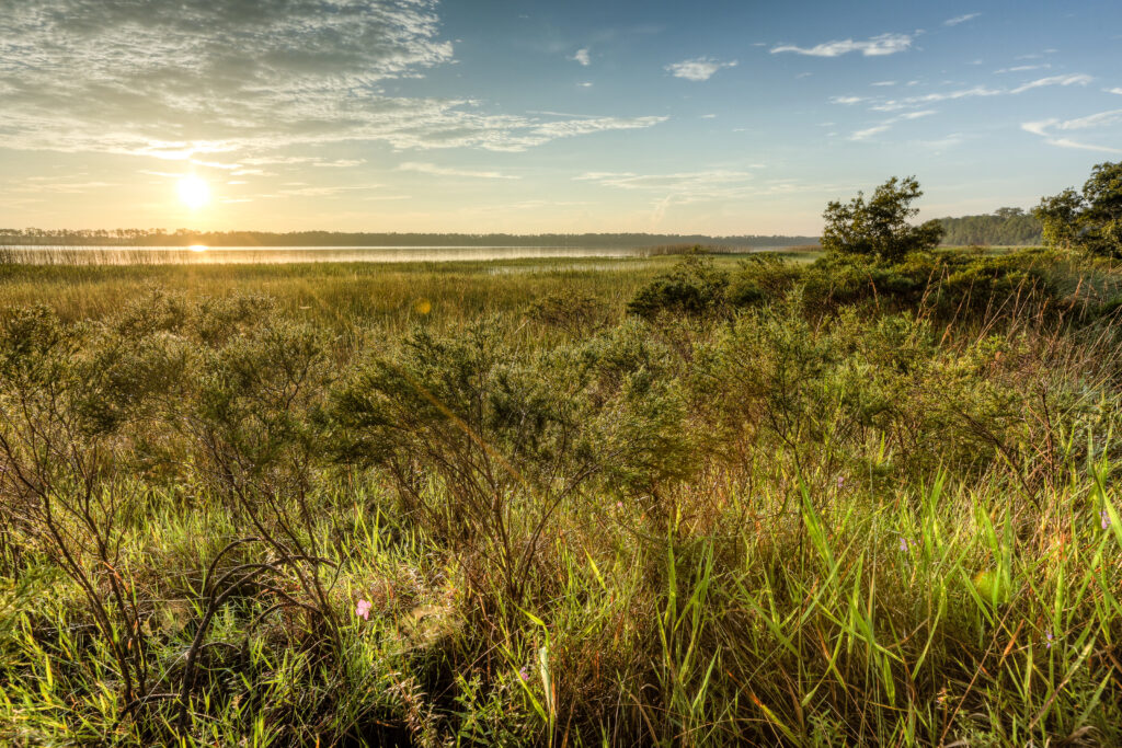 Did You Know? Your Top 10 Sunbridge Questions, Answered - Sunbridge